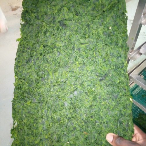 Optimising integrated Multi-Trophic Aquaculture (IMTA) on South African ...