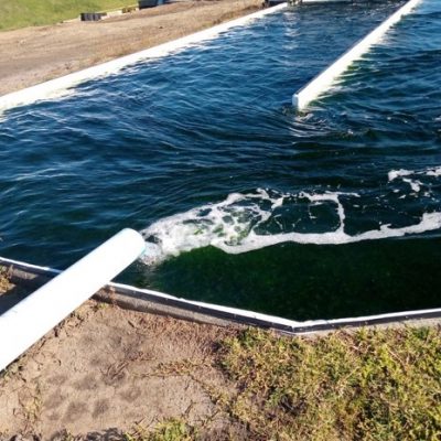 II.-Integrated Multi-Trophic Aquaculture (IMTA): land-based and sea ...